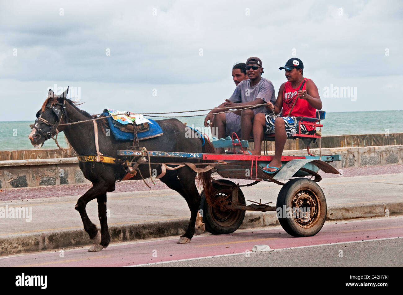 Transport De Chevaux Et De Charrettes Banque d'image et photos - Alamy