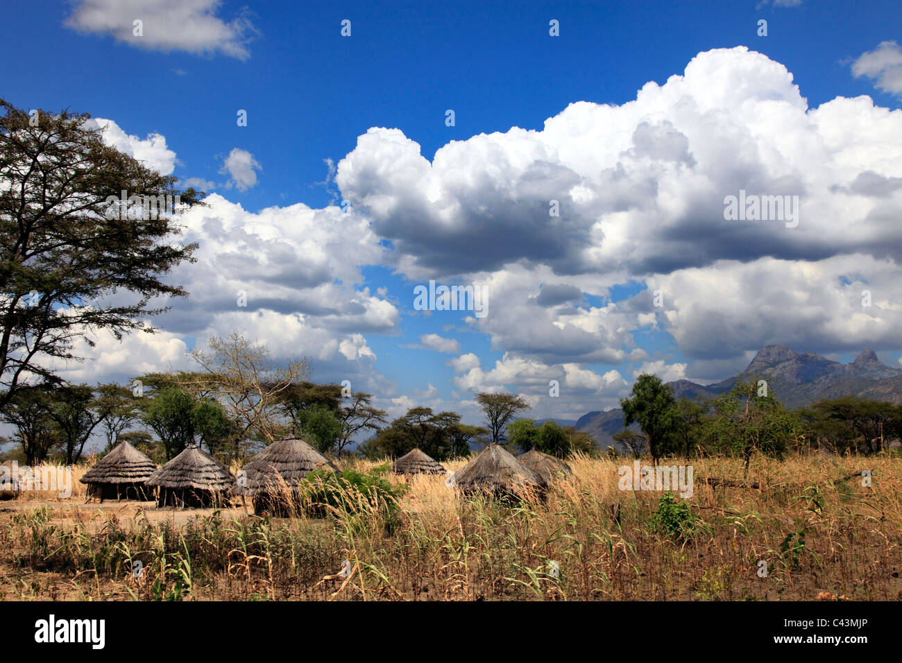 Afrique sub saharienne tropicale Banque de photographies et d’images à ...