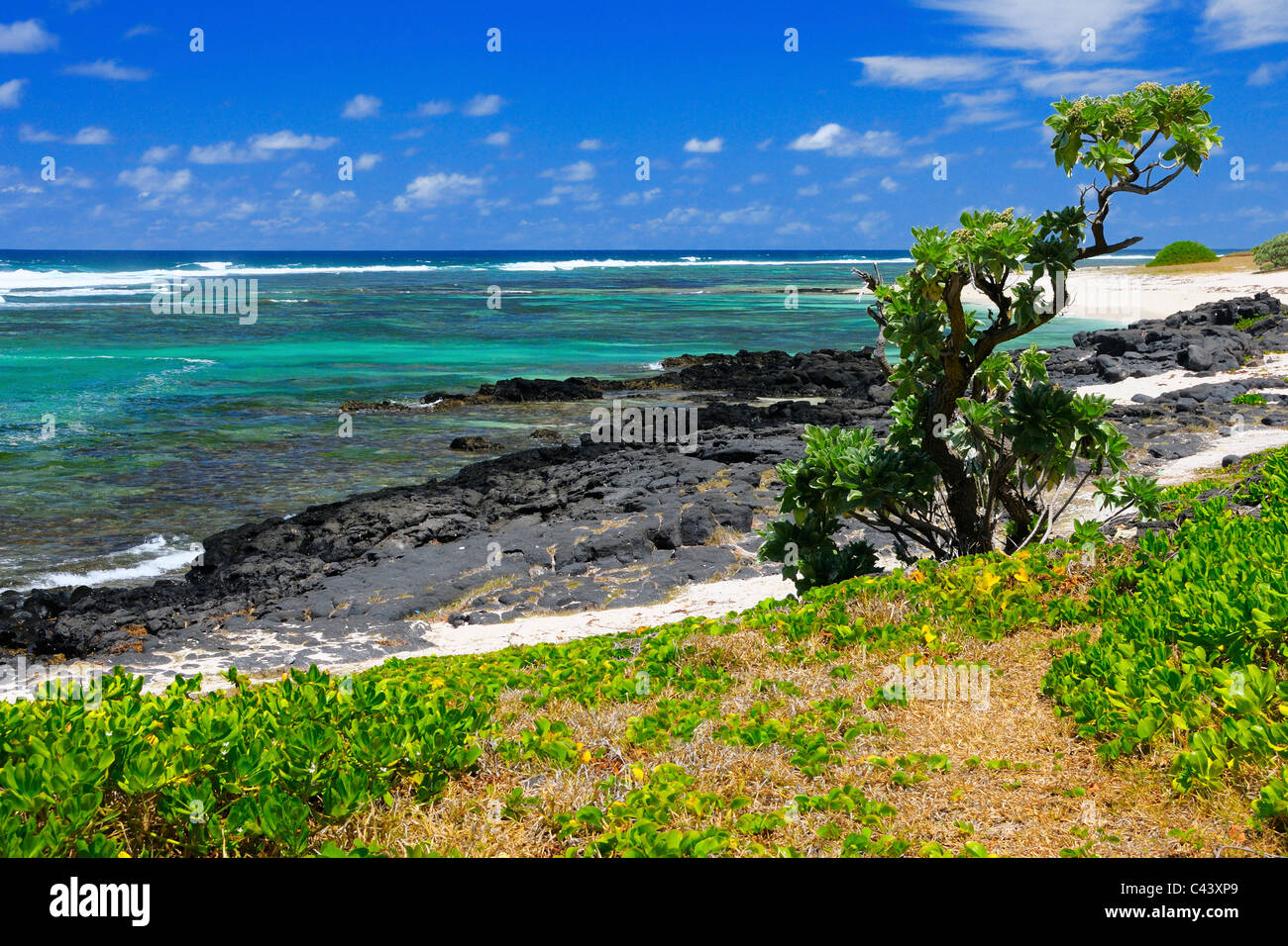 La plage de la Pointe des Roches Noires, au nord de Poste Lafayette ...