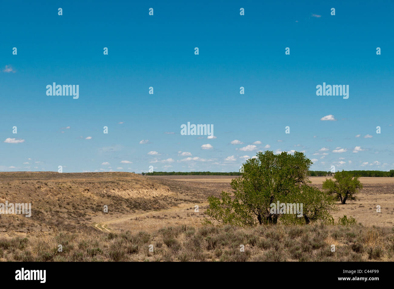 Big sandy Banque de photographies et d’images à haute résolution - Alamy