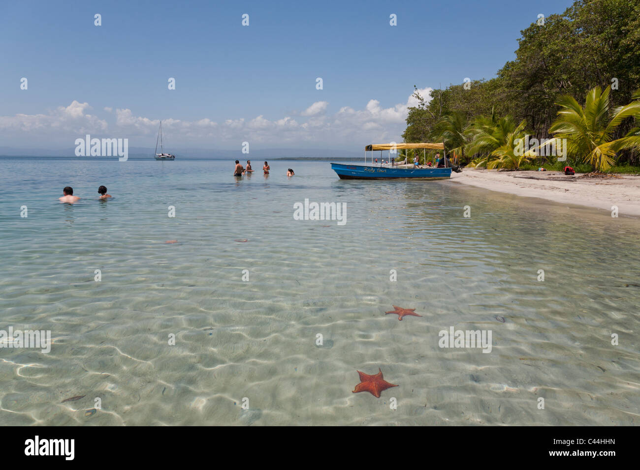 Starfish Beach, l'Île de Colon, Bocas del Toro, PANAMA Photo Stock - Alamy