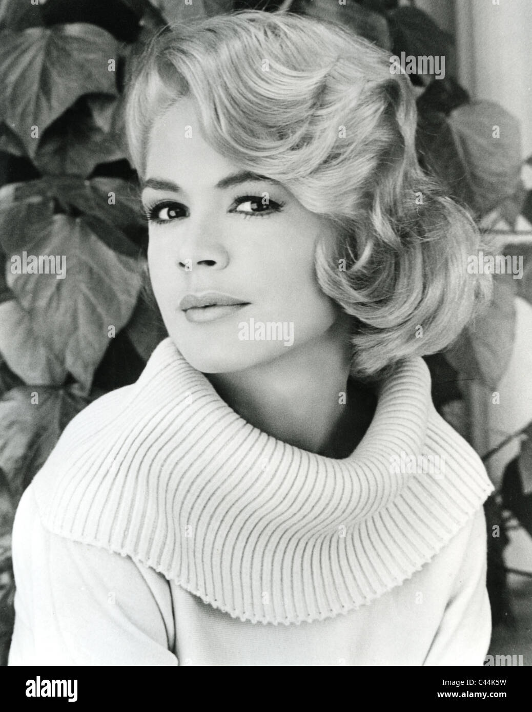 SANDRA DEE (1942-2006) actrice et modèle des États-Unis Photo Stock - Alamy