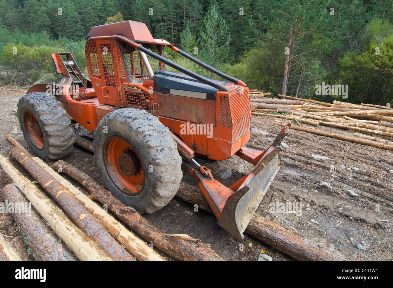 Bulldozer deforestation forest Banque de photographies et d’images à ...