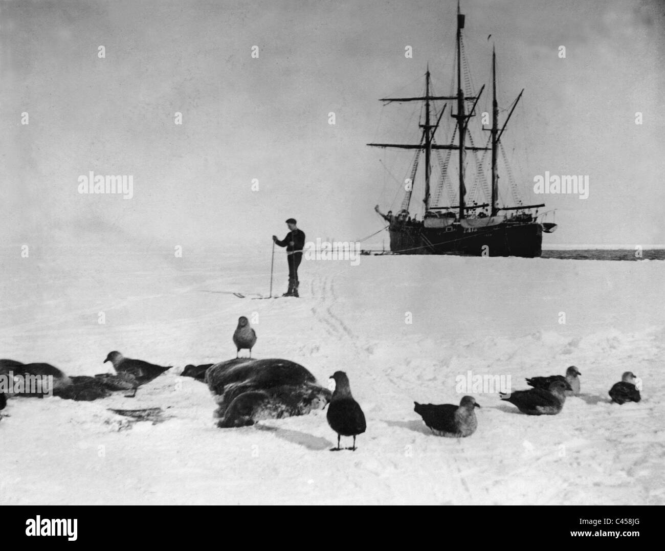 Fridtjof nansen fram Banque de photographies et d’images à haute ...