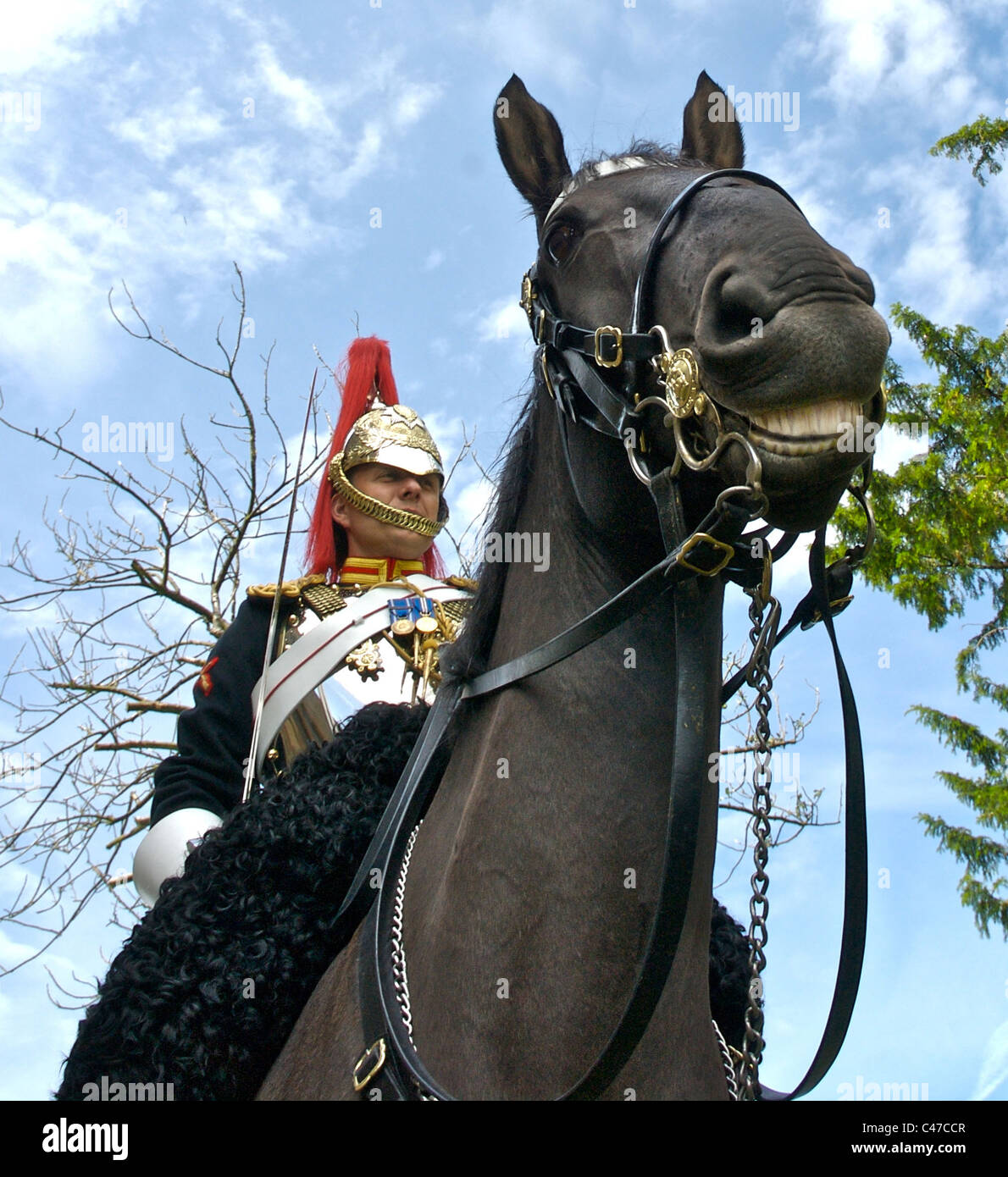 Rire De Cheval Banque d'image et photos - Alamy