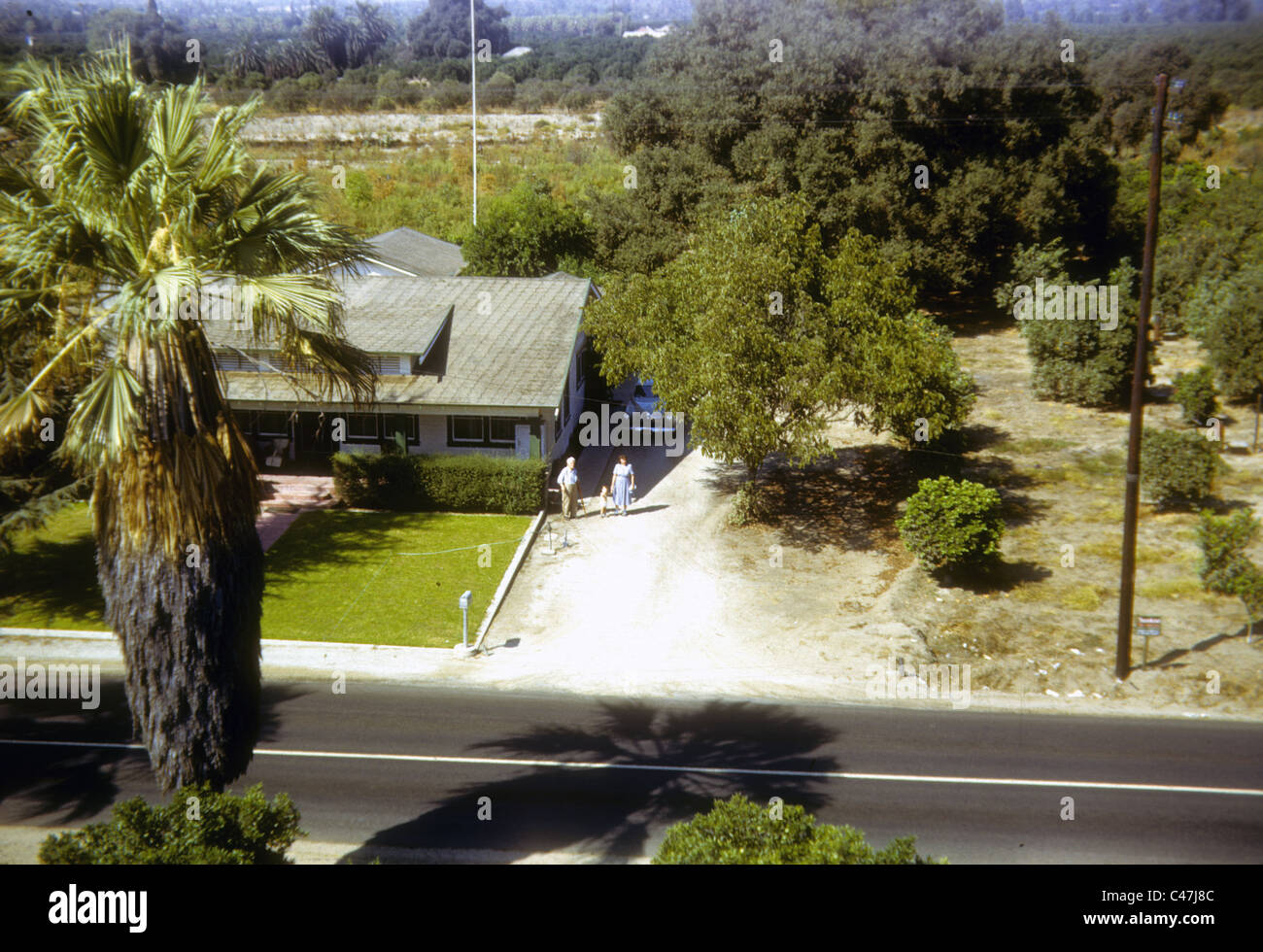 Farm house Covina Californie 1950 los angeles Azuza palmier agriculture ...