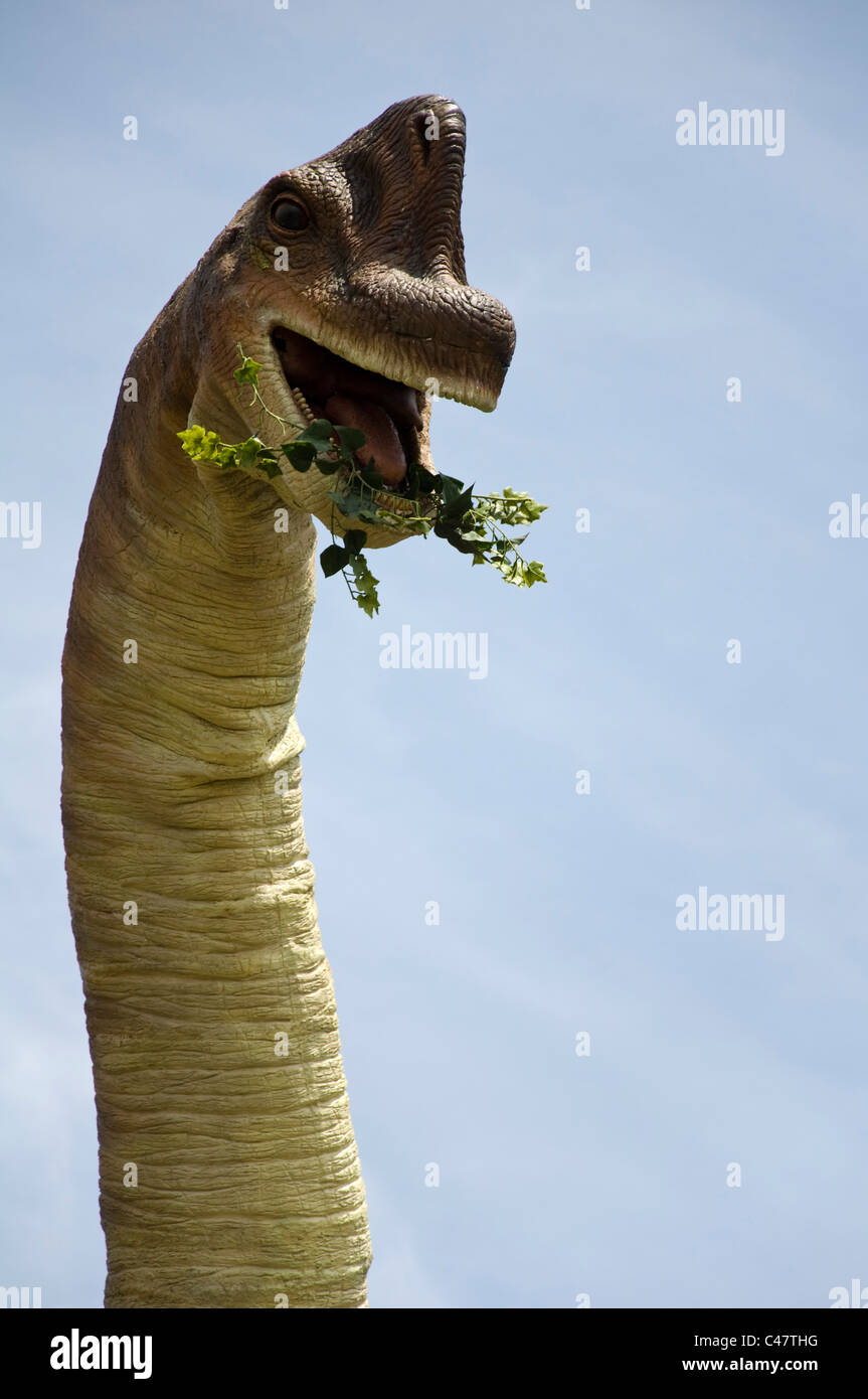 Dinosaure dino Banque de photographies et d’images à haute résolution - Page 2 - Alamy