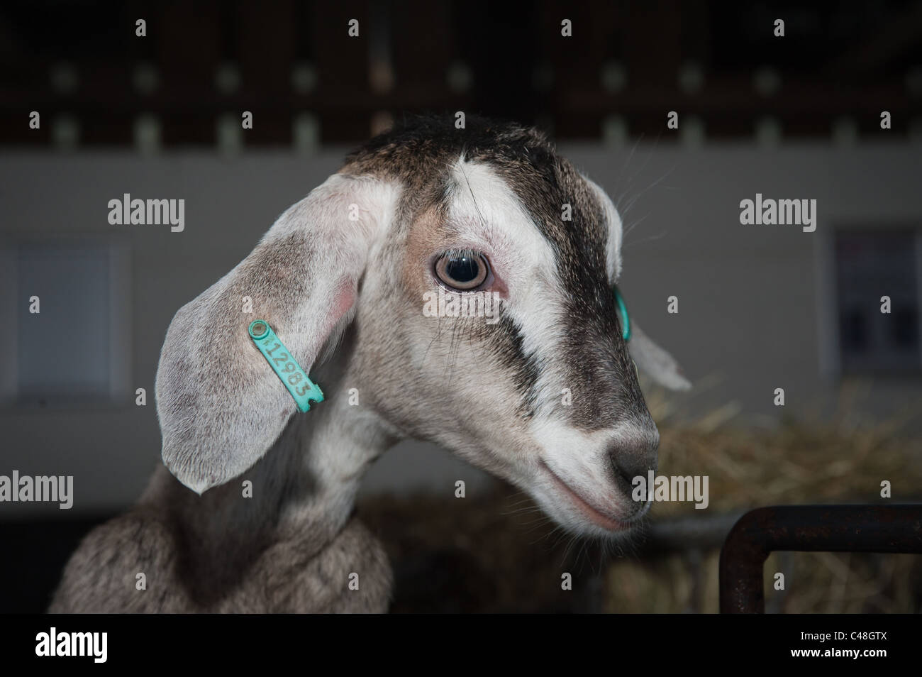 Stockley farm Banque de photographies et d’images à haute résolution ...