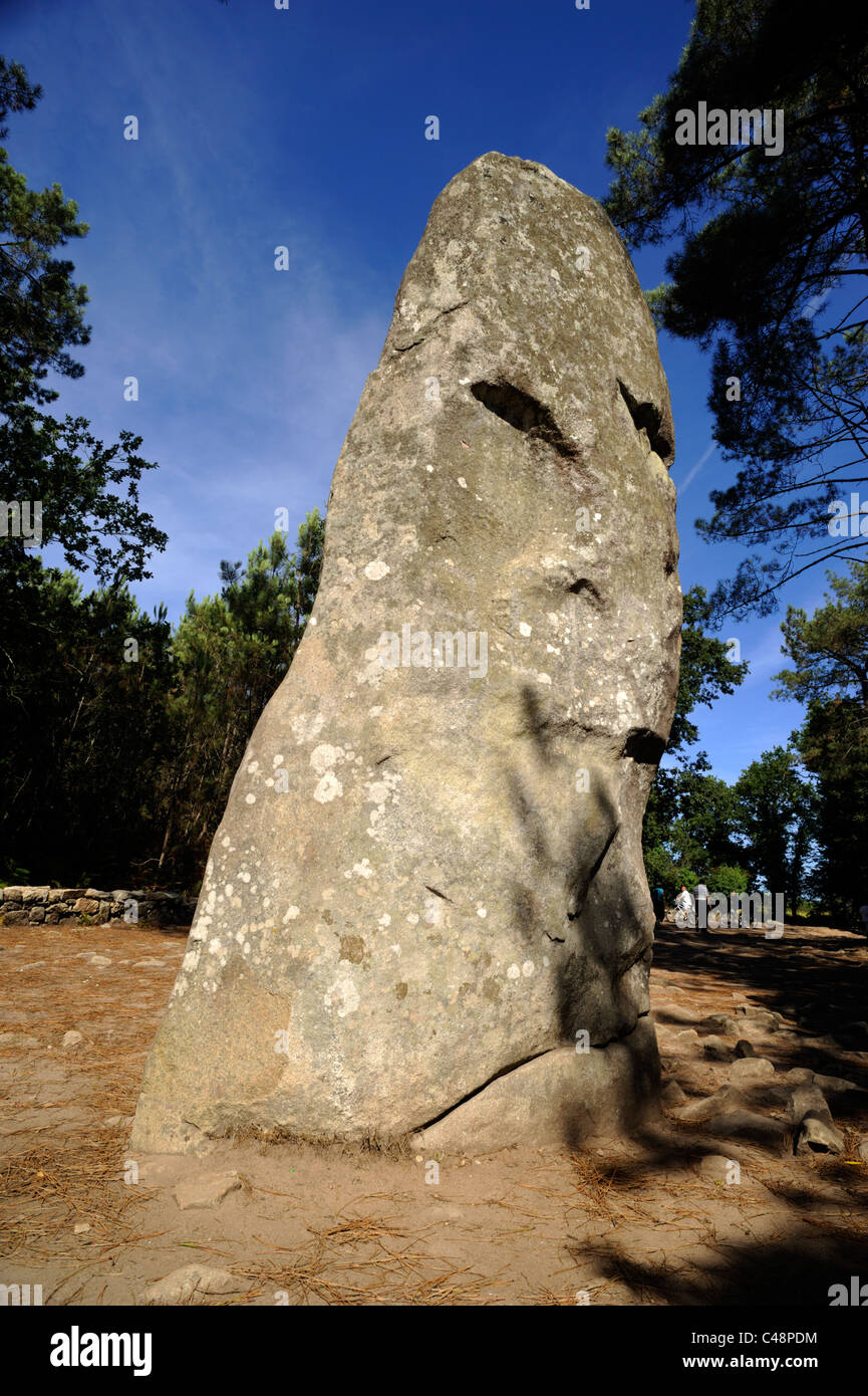 Geant Du Manio Banque d'image et photos - Alamy