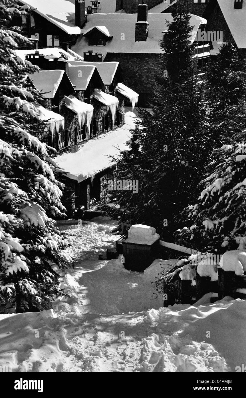 El tarter Banque de photographies et d’images à haute résolution - Alamy