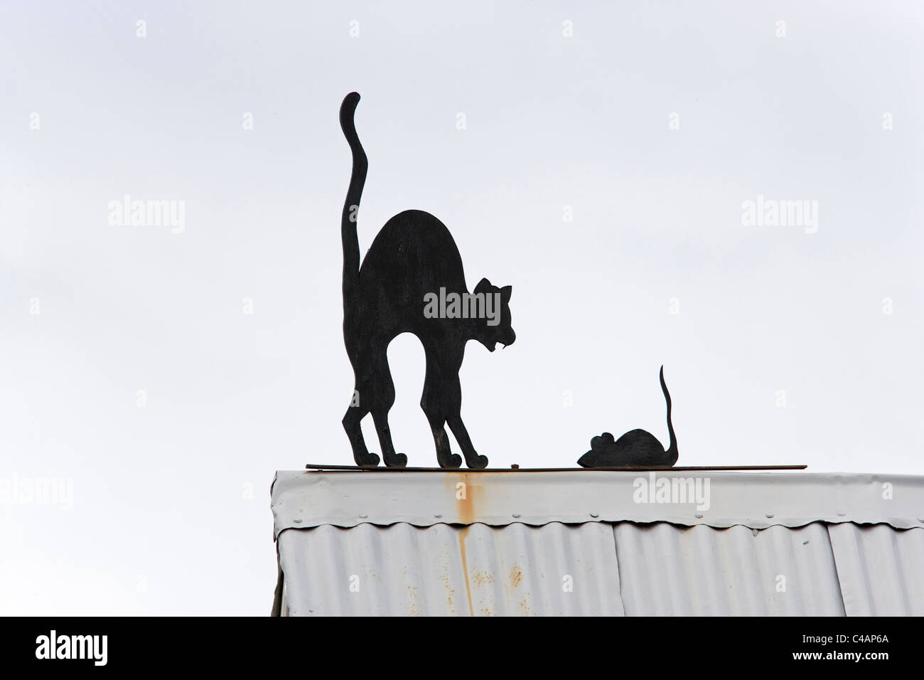 Chat sur un toit Banque de photographies et d’images à haute résolution ...