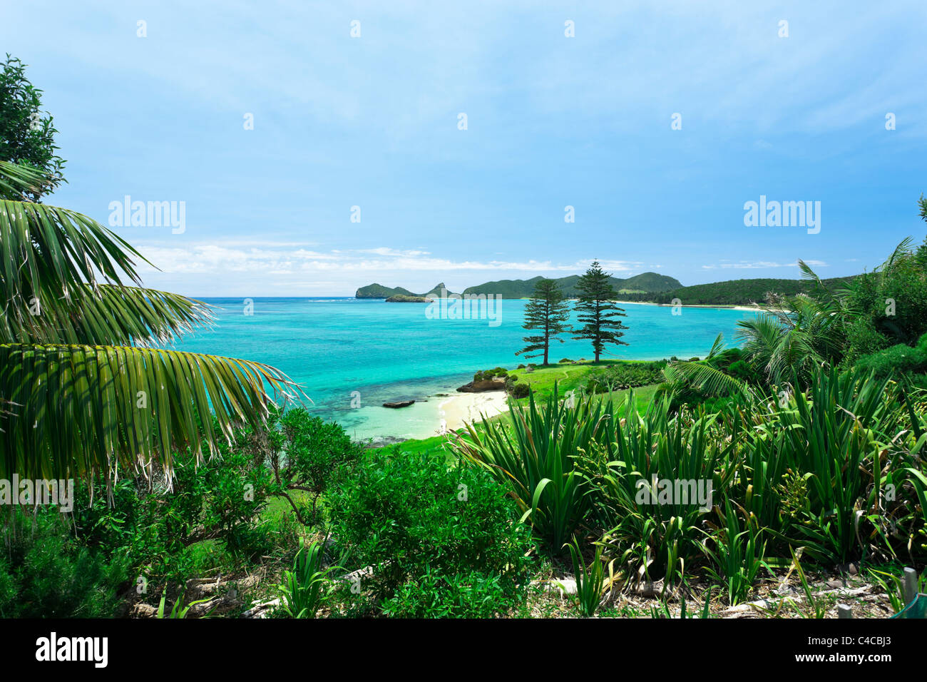 Lord howe island golf course Banque de photographies et d’images à ...