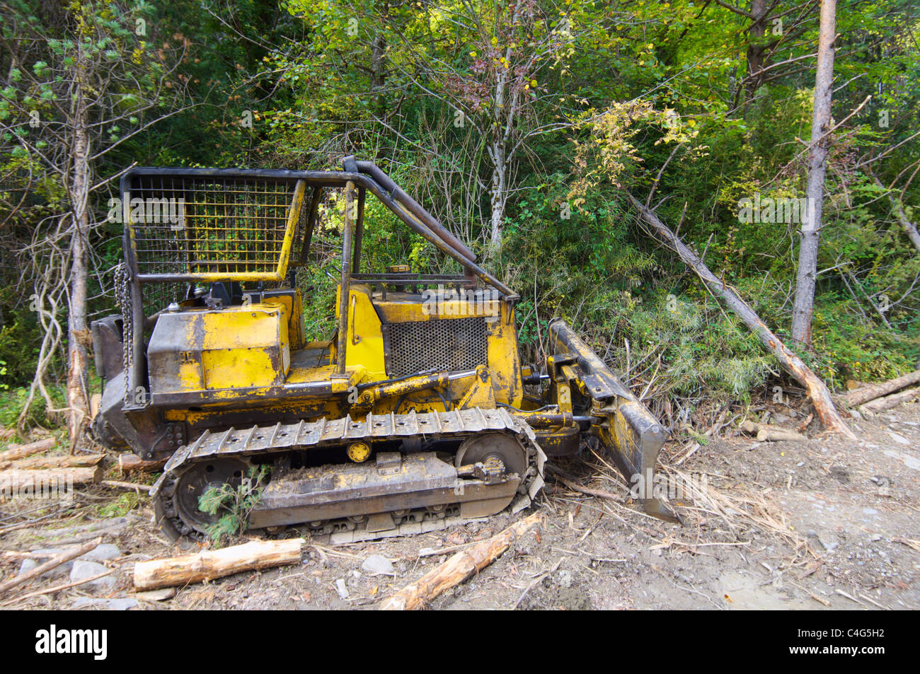 Bulldozer deforestation forest Banque de photographies et d’images à ...