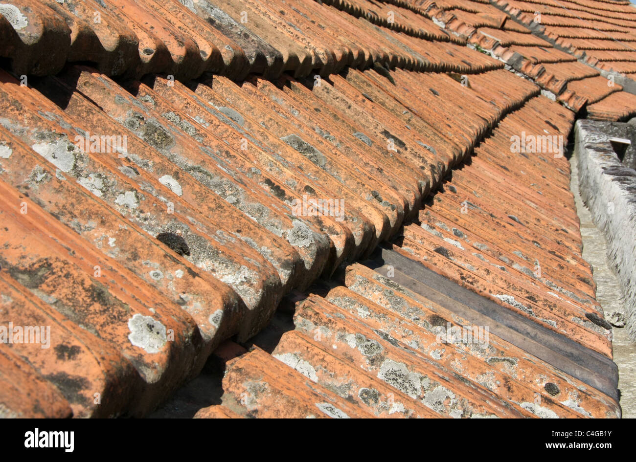 Toits de tuiles en terre cuite italie Banque de photographies et d ...
