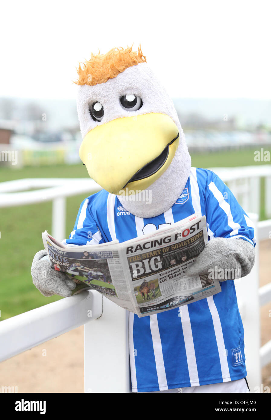 Gully brighton Banque de photographies et d’images à haute résolution ...