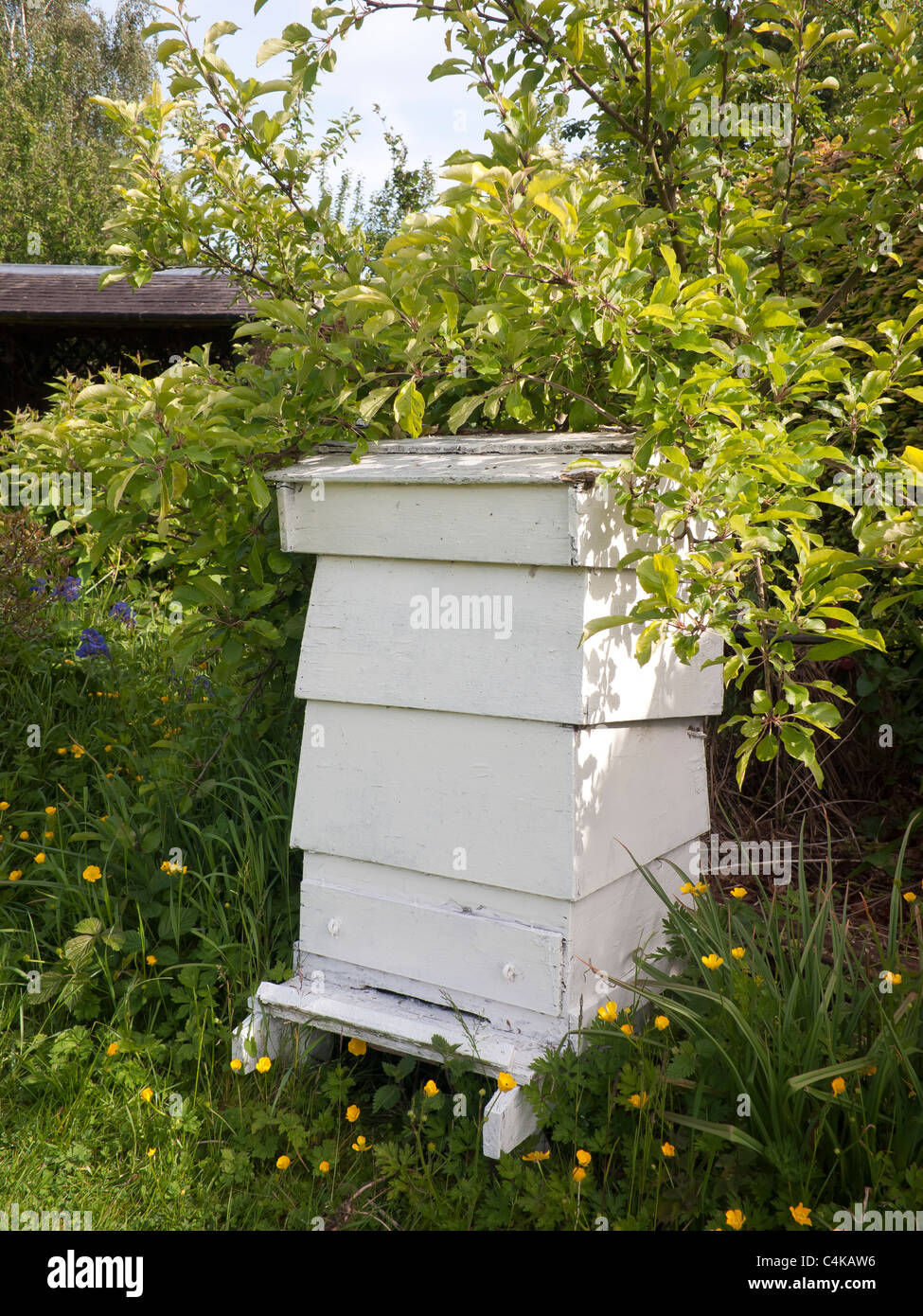 William broughton carr Banque de photographies et d’images à haute ...