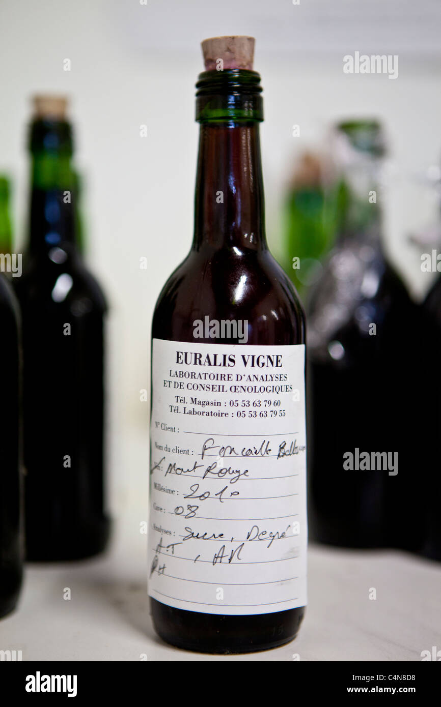 Viticulture france Banque de photographies et d’images à haute ...