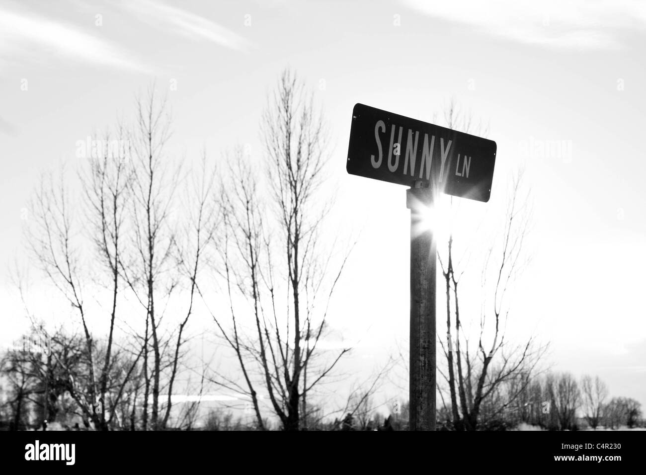 Sunny lane Banque de photographies et d’images à haute résolution - Alamy