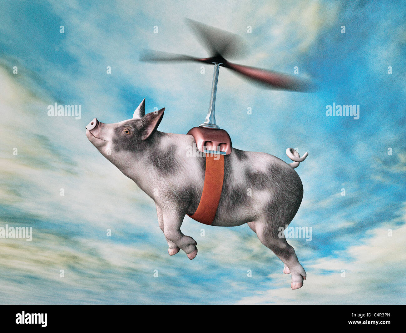 Cochon volant Banque de photographies et d’images à haute résolution ...