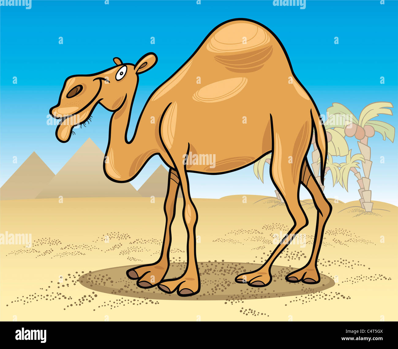Cartoon illustration de dromadaire sur desert Photo Stock - Alamy