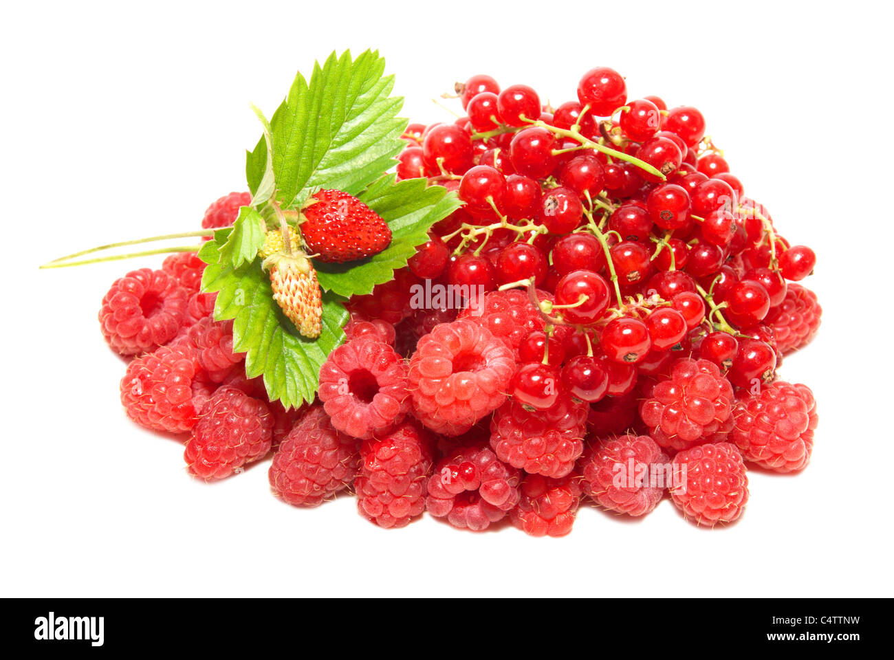 Fruits rouges sauvages Banque d'images détourées - Alamy