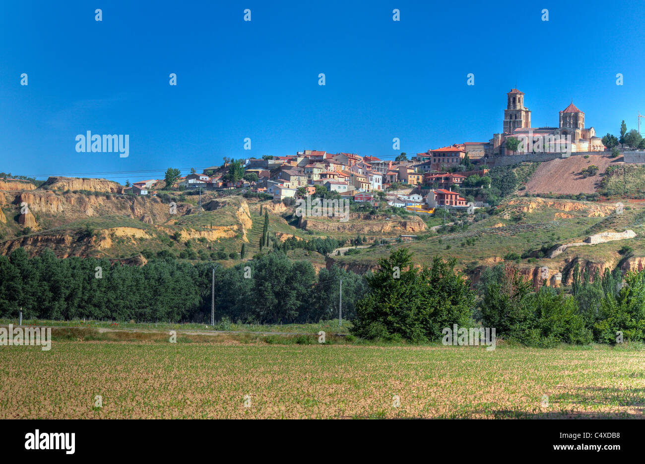 Toro toro Banque de photographies et d’images à haute résolution - Alamy