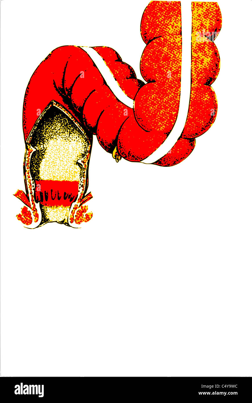 Côlon descendant Banque de photographies et d’images à haute résolution ...