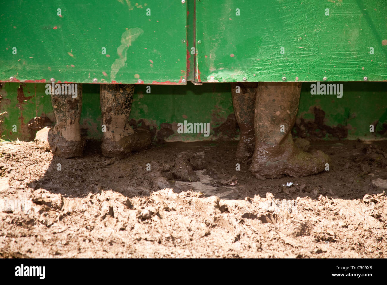 Long drop toilets glastonbury festival Banque de photographies et d ...