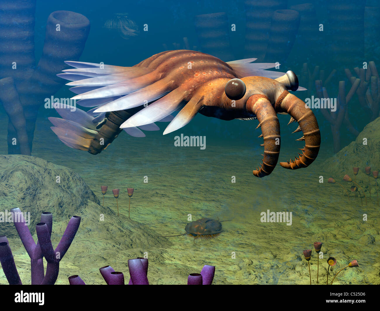 Mer cambrienne Banque de photographies et d’images à haute résolution ...