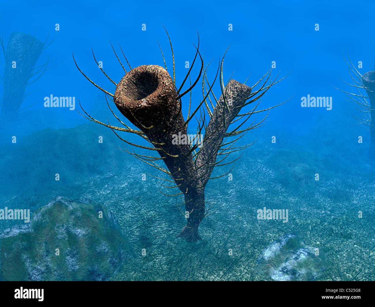 Une espèce de Pirania, une éponge primitif qui peuplaient l'océan il y ...