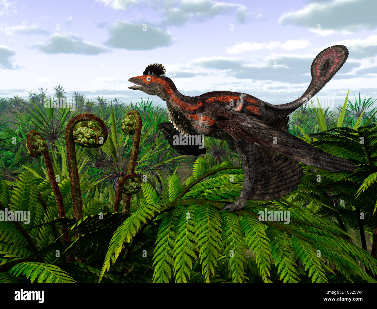 Microraptor dinosaur Banque de photographies et d’images à haute ...