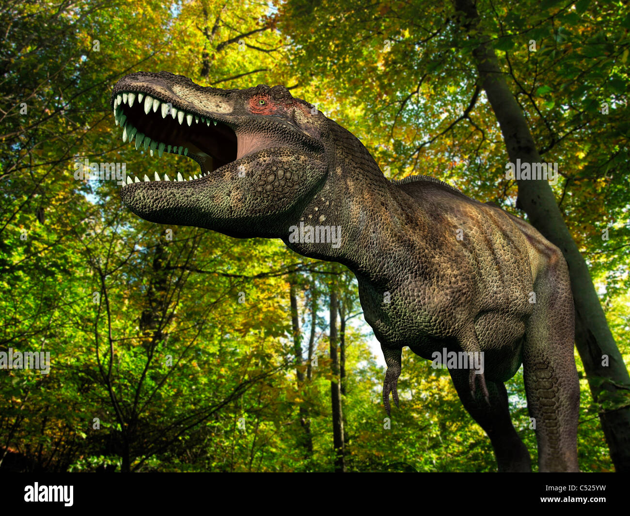 Tyrannosaurus rex en plein air Banque de photographies et d’images à haute résolution - Alamy