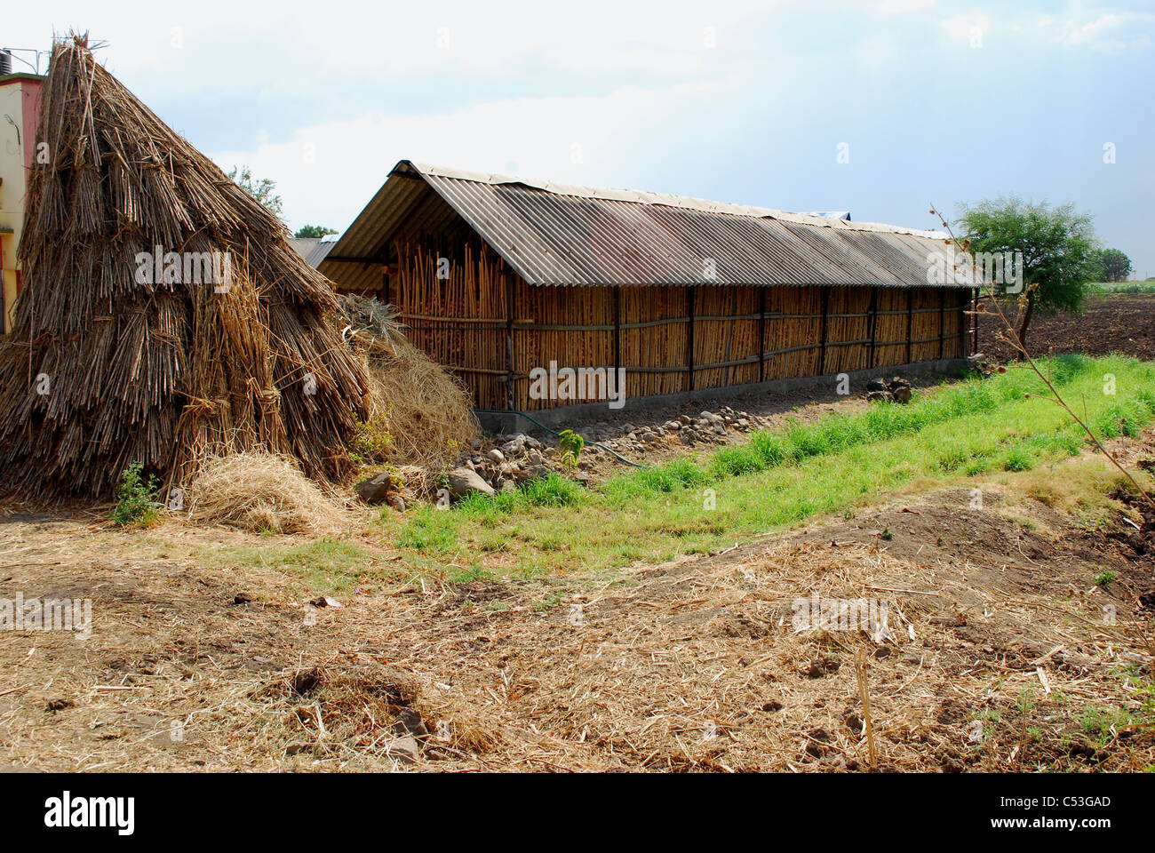Stockage au champ Banque de photographies et d’images à haute ...