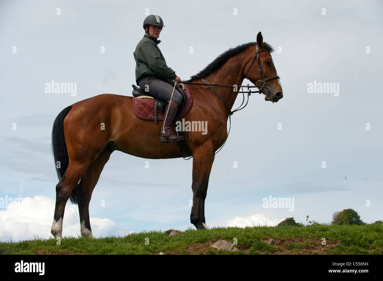 Cavalier sur le cheval Banque de photographies et d’images à haute ...