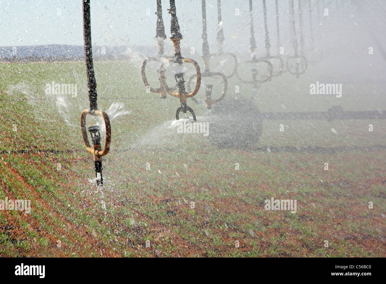 Aspersion d'eau d'un système d'irrigation des cultures à pivot central ...