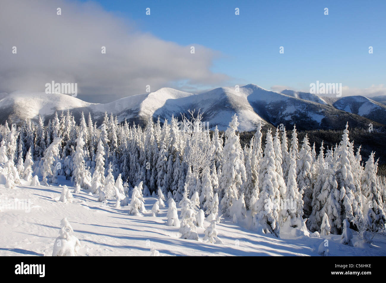 Au sommet du Mont Hogsback en hiver dans le Parc de la Gaspésie, Québec ...