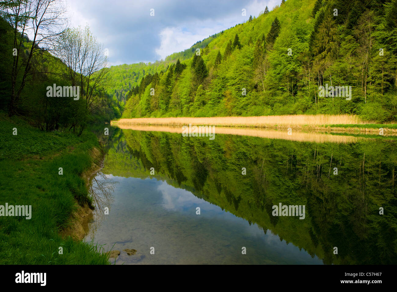 Le Doubs, Le Theusseret, Suisse, Europe, canton Jura, rivière ...