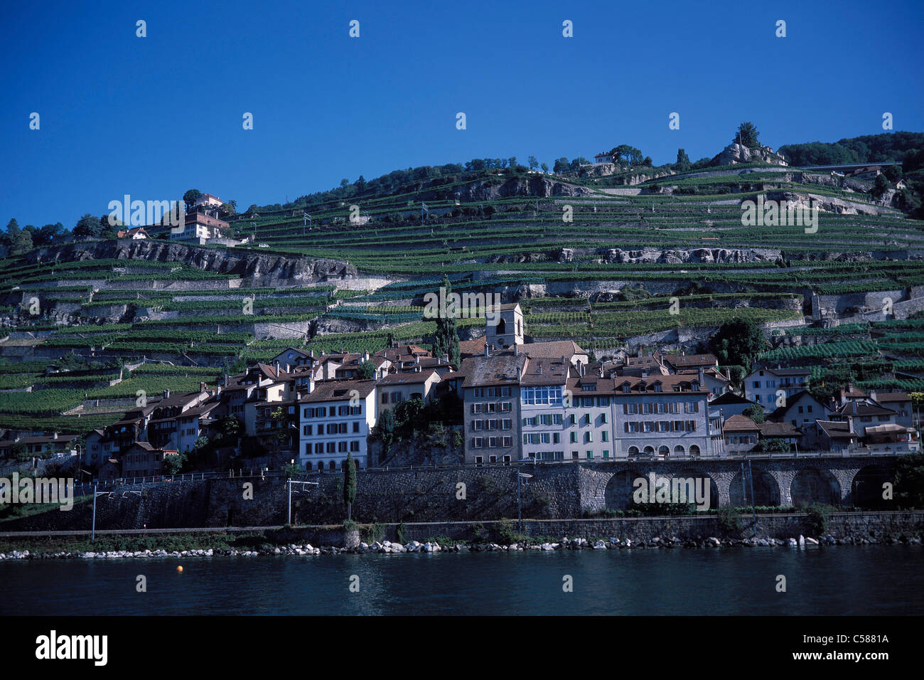 La Suisse, Europe, paysage, été, Vaud, Lavaux, Lac Léman, lac de Genève ...