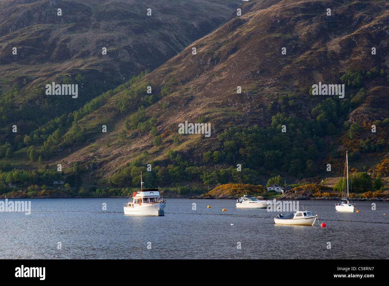 Loch etive Banque de photographies et d’images à haute résolution - Alamy