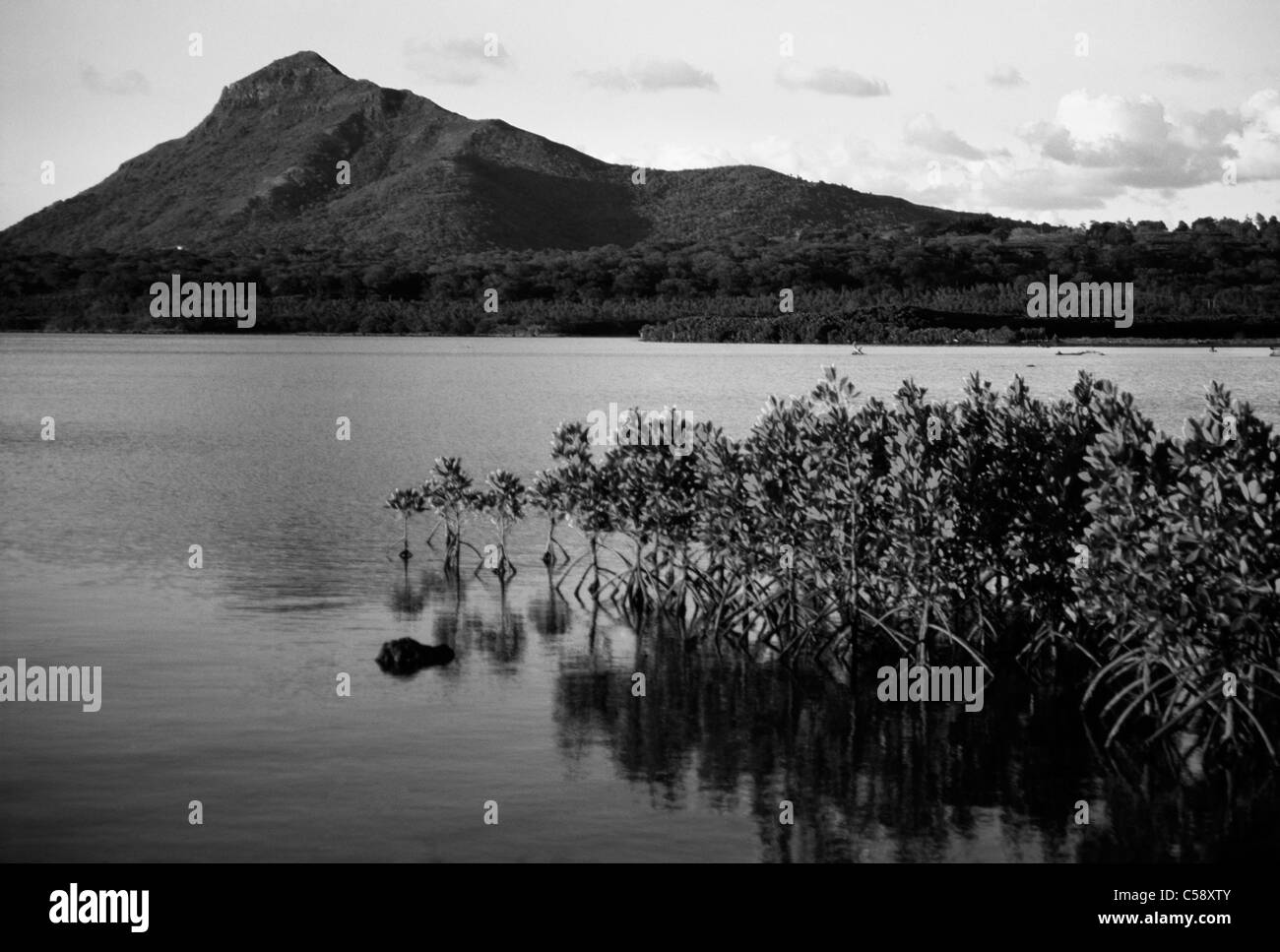 île de maurice Banque d'images noir et blanc - Alamy
