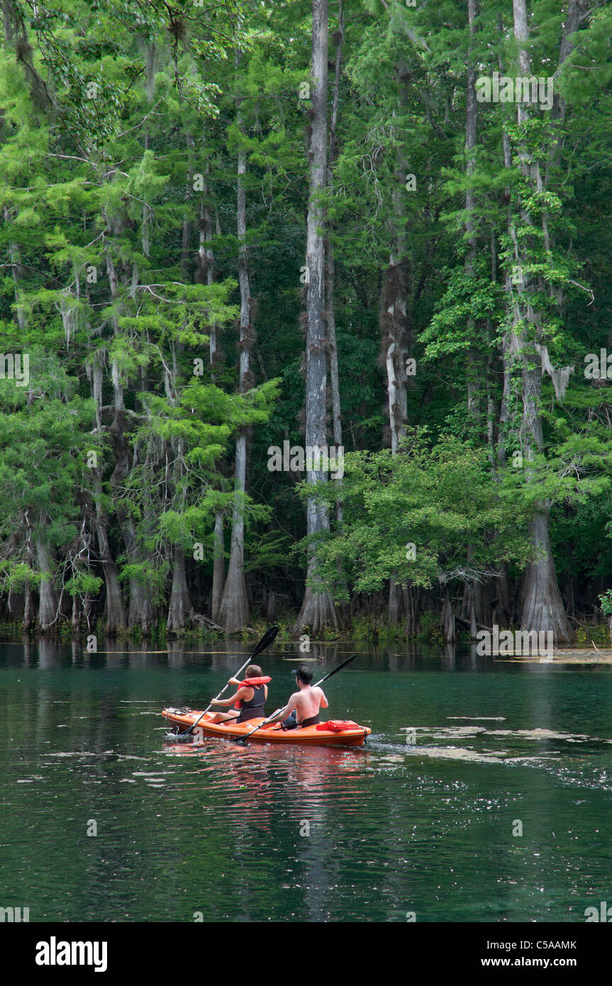 Manatee springs state park Banque de photographies et d’images à haute ...