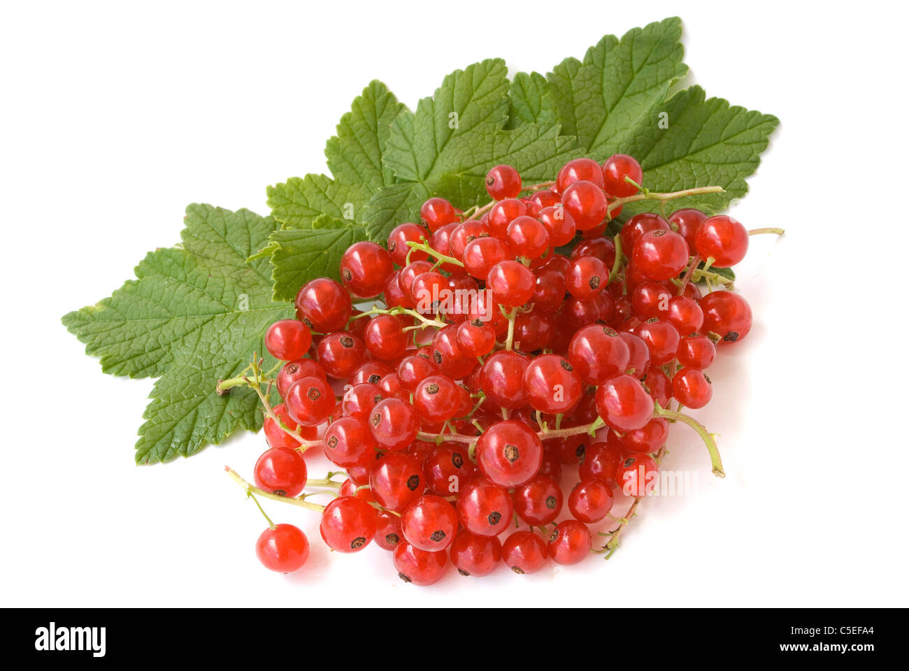 Groseille verte Banque d'images détourées - Alamy