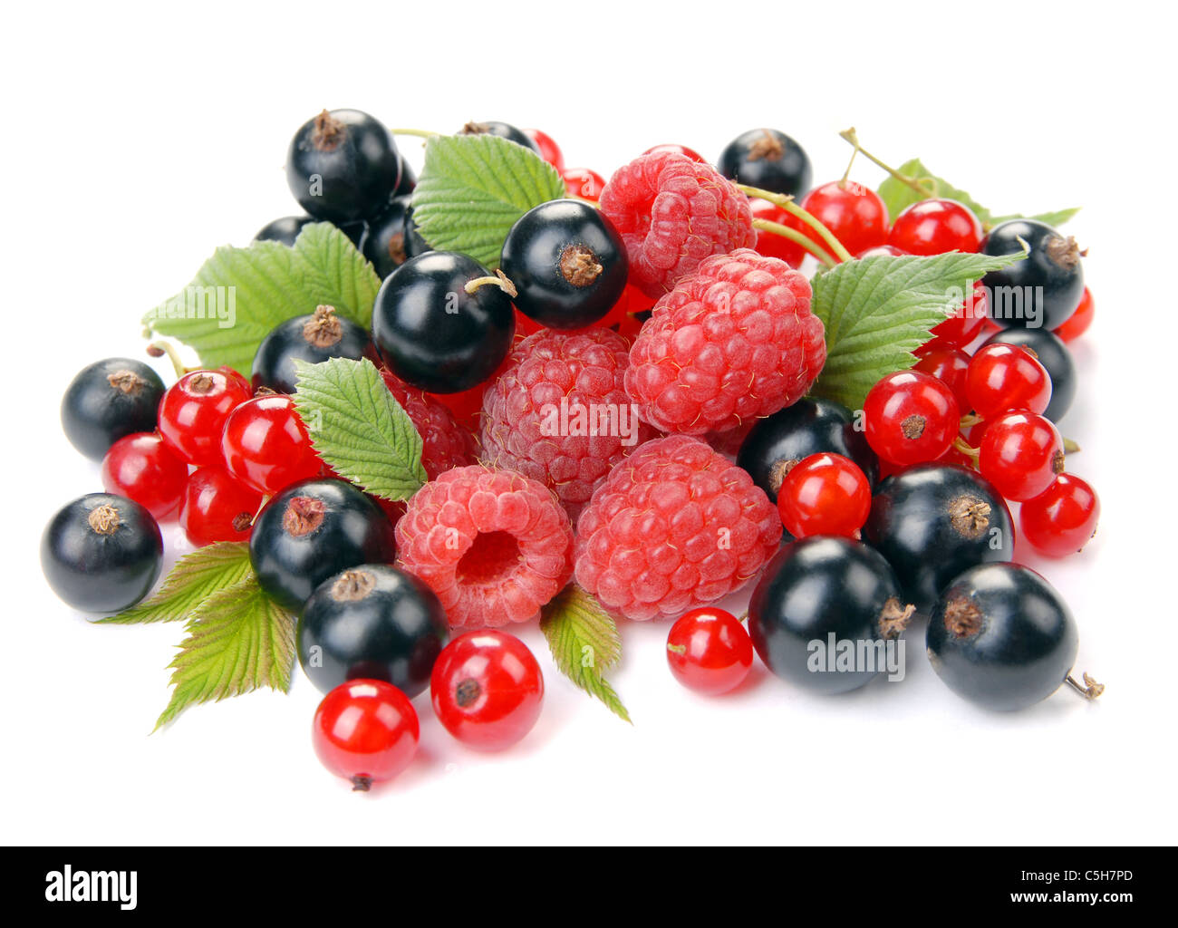Cassis rouge et noir sur un backg blanc Banque de photographies et d ...