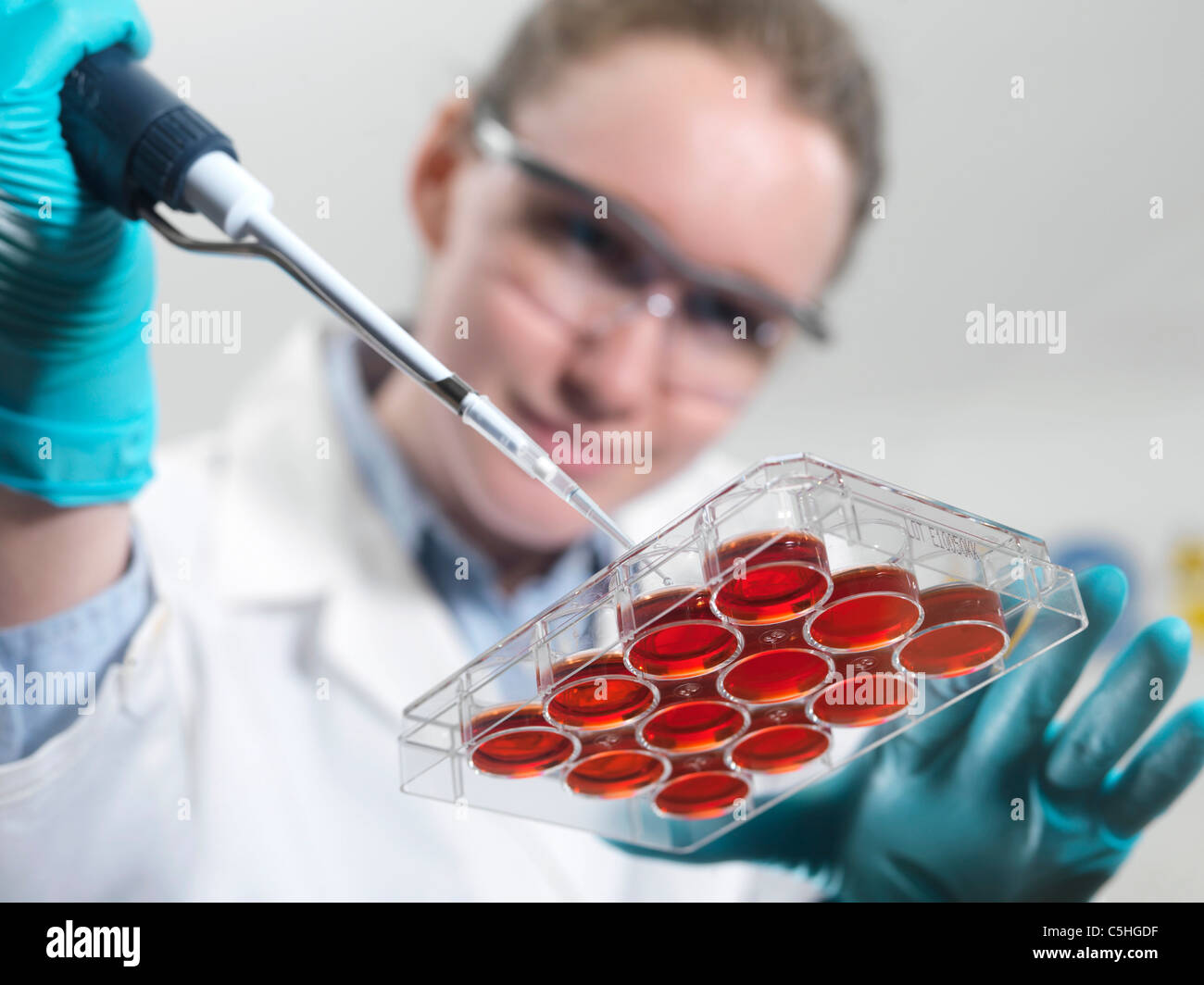 Laboratoires de biologie Banque de photographies et d’images à haute ...