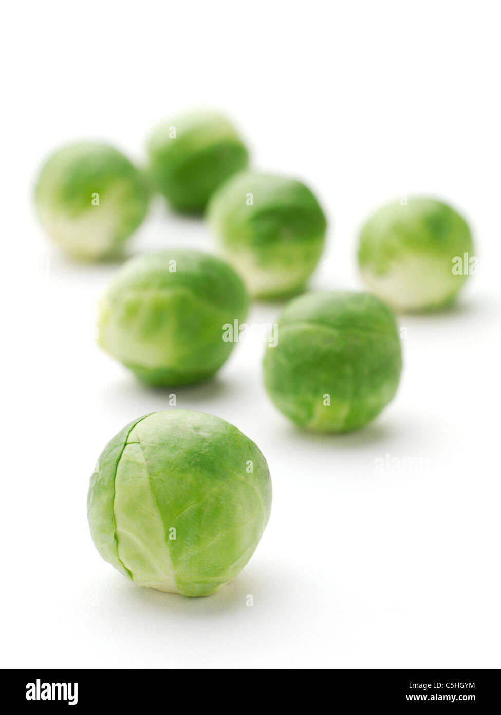 Choux de bruxelles en croissance Banque d'images détourées - Alamy