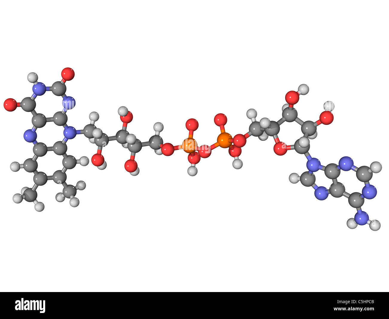Flavine adénine dinucléotide Banque de photographies et d’images à ...