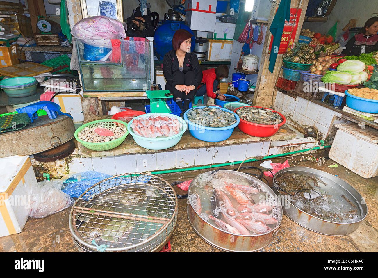 Poisson vivant à vendre Banque de photographies et d’images à haute ...