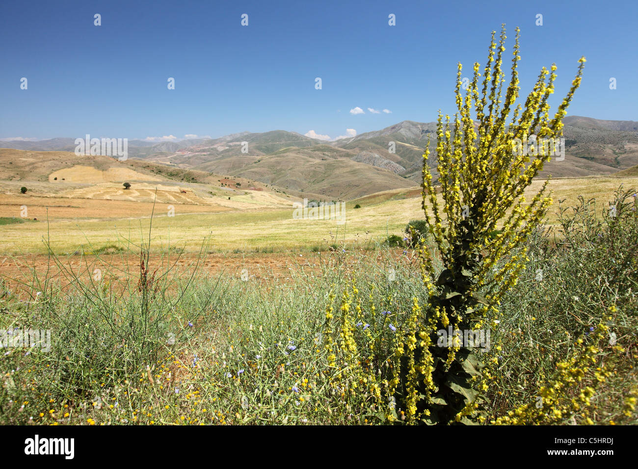 Toros daglari Banque de photographies et d’images à haute résolution ...