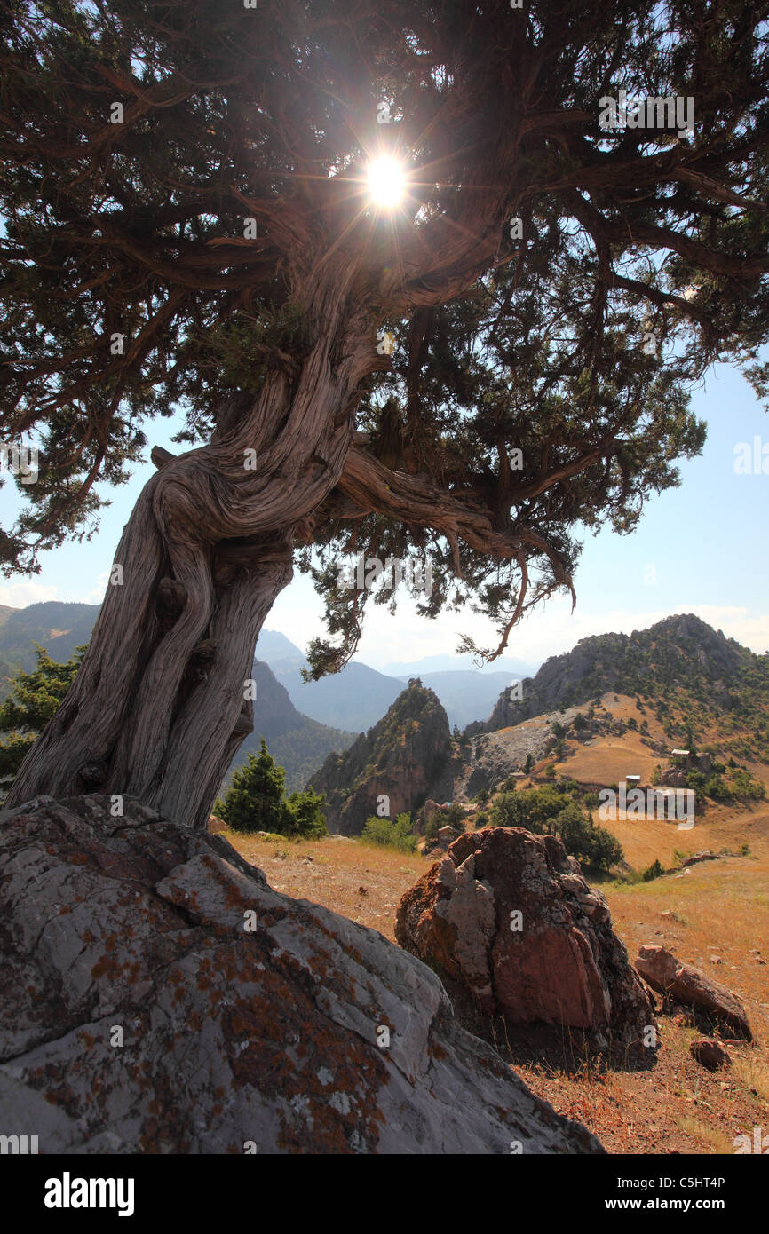 Toros daglari Banque de photographies et d’images à haute résolution ...