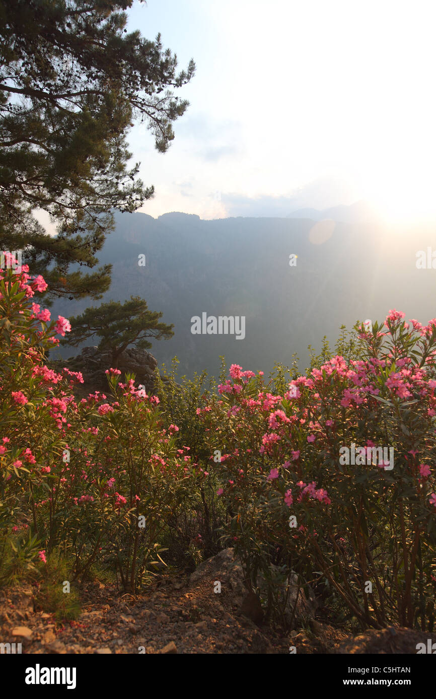 Toros daglari Banque de photographies et d’images à haute résolution ...